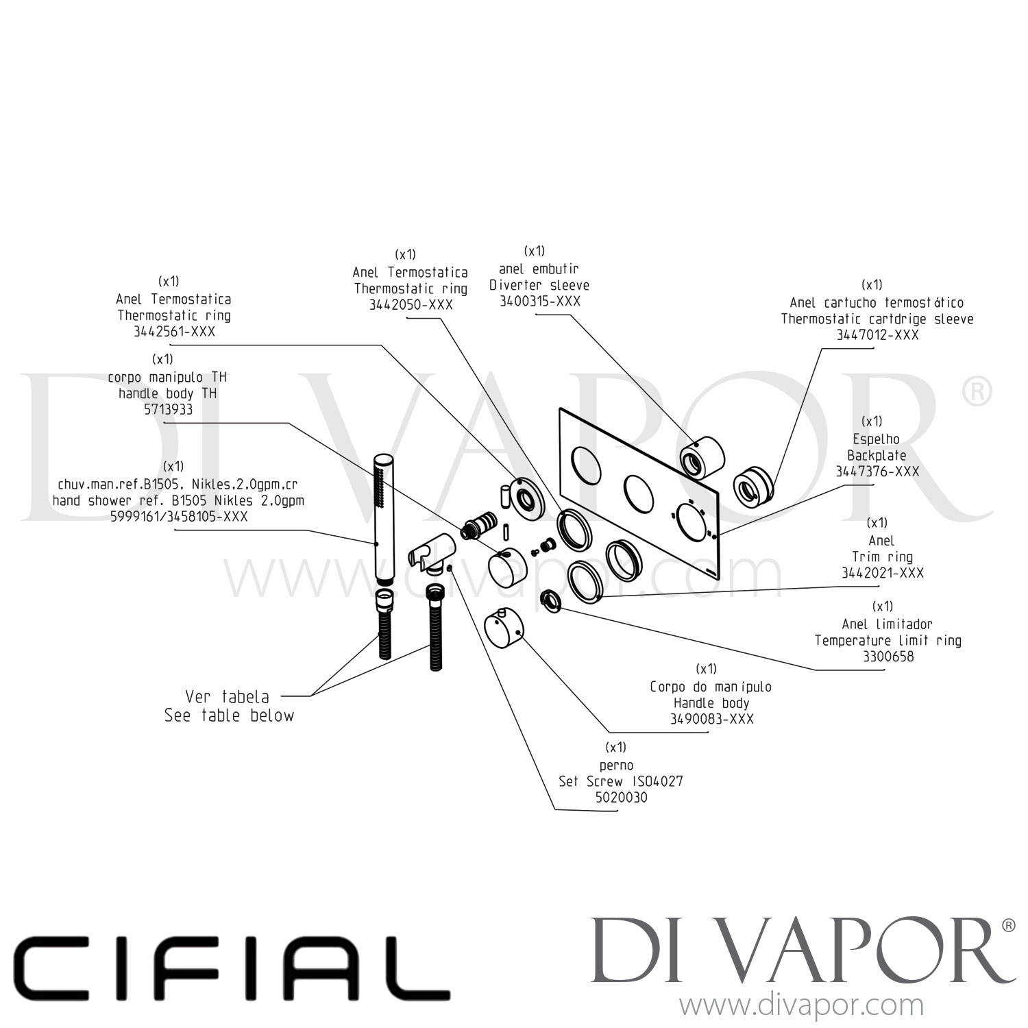 Cifial 35838TH-625 Techno 465 Thermostatic Recessed Wall with Hand ...